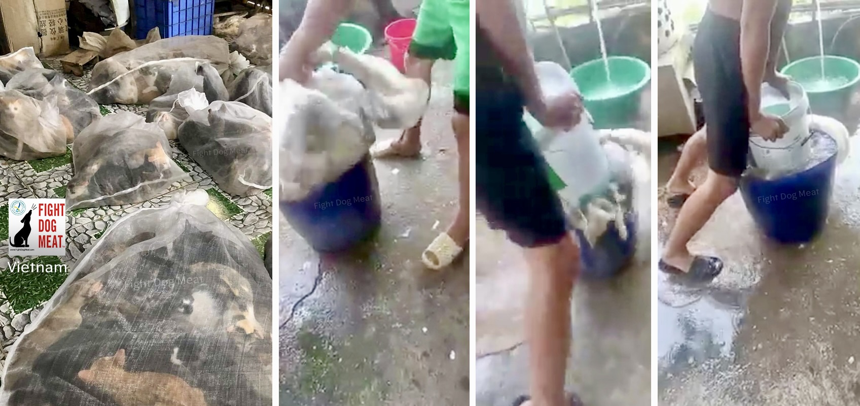 Vietnam: Cat Butcher In Hanoi - April 2023