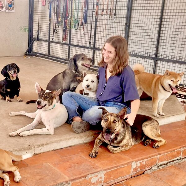 Fight Dog Meat: Over 10 Years Fighting For Dogs In Asia