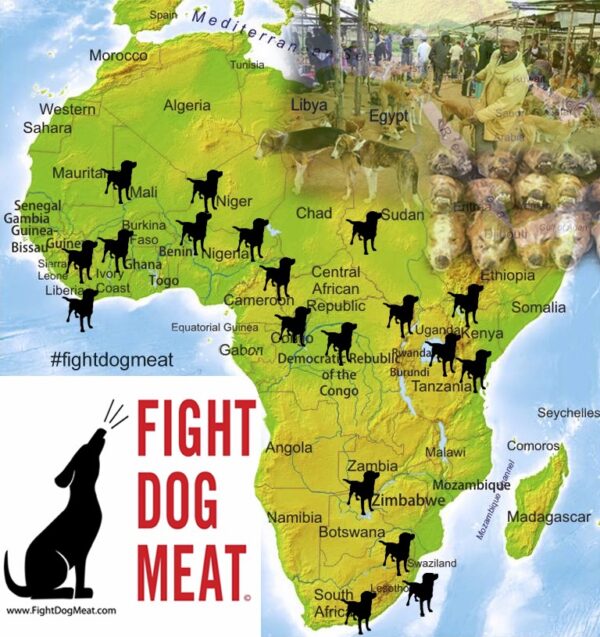 Africa: Dog Meat In Over 20 Countries In Africa