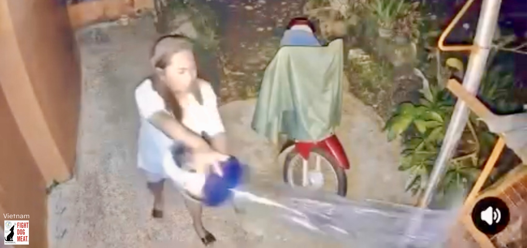 Vietnam: Boiling Water Over Pet - Fight Dog Meat